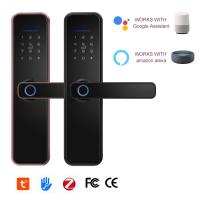 China Fingerprint Cylinder Smart Wifi Door Lock Double Tuya Access Wifi Fingerprint Door Lock for sale