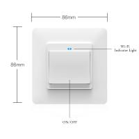 China EU UK Standard Tuya Smart Life WiFi Light Switch 10A 1 Gang Light Switch With LED Indicator for sale