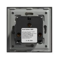 China In-Wall EU Smart Outlet Plug 13A With Alexa Google Home & IFTTT No Hub Required for sale