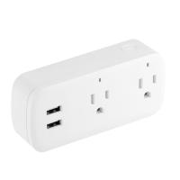 China Smart Home Wireless Plug Socket US Standard Tuya Smart Plug With 2 USB Ports for sale