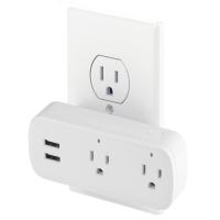 China Smart Home Wireless Plug Socket US Standard Tuya Smart Plug With 2 USB Ports for sale