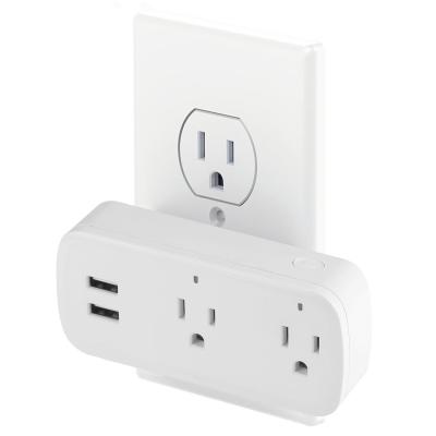 China Smart Home Wireless Plug Socket US Standard Tuya Smart Plug With 2 USB Ports for sale