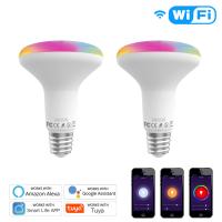 China 2900-6000K 13W E27 WiFi LED Smart Bulb for sale
