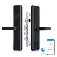 China Biometric Smart Wifi Door Lock With Handle Keyless Entry Door Lock With Fingerprint for sale