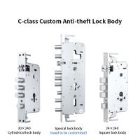 China Biometric Smart Wifi Door Lock With Handle Keyless Entry Door Lock With Fingerprint for sale