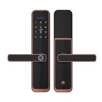China Electric Tuya APP Smart Wifi Door Lock Digital Biometric Fingerprint Door Lock for sale