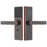 China Touchscreen Fingerprint Wifi Entry Door Lock With Handle Lock Easy To Install For Home Hotel for sale