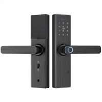 China Touchscreen Fingerprint Wifi Entry Door Lock With Handle Lock Easy To Install For Home Hotel for sale