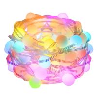 China Intelligent Alexa Smart Wifi LED Bulb Usb Voice Control Christmas Led String Light for sale