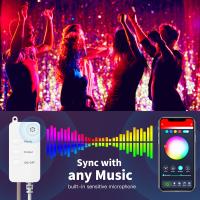 China Intelligent Alexa Smart Wifi LED Bulb Usb Voice Control Christmas Led String Light for sale