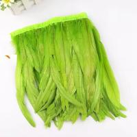 China Carnival costumes rooster coque feather fringe trimming for sale