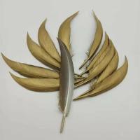 China 20-25 Cm Gold Dyed Turkey Feathers Quill Perfect For Festival Decoration for sale