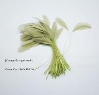 China 8-10 Inch Teardrop Stripped Cock Coque Feather For Father'S Day Purple Green Pink for sale