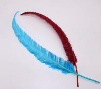 China 45-50cm  Hat Making Millinery Feather , Nandu Plumes Striped Ostrich Feather for sale