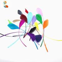 China Loose Stripped Carnival Feathers , Event Party Goose Nagoire Feathers Dyed Colorful for sale