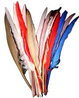 China Valentine's Day Millinery Supplies Turkey Feather Quill for Worldwide Shipping for sale
