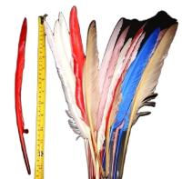 China Valentine's Day Millinery Supplies Turkey Feather Quill for Worldwide Shipping for sale