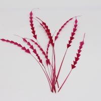 China Pattern Dyed Millinery Supplies Party Decoration Stripped Rooster Coque Feather with Wire Accessory 8-10 inch for sale