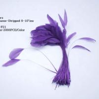 China FEDEX Shipping for Millinery Supplies Stripped Coque Feather for sale