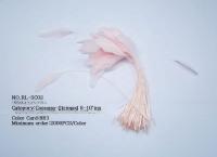China FEDEX Shipping for Millinery Supplies Stripped Coque Feather for sale