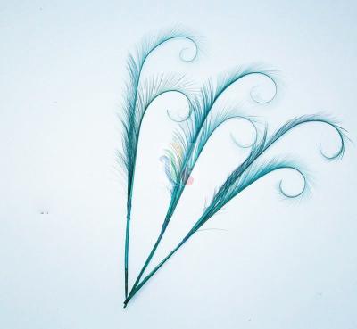 China Unique Pattern Dyed Burnt Curly Ringneck Pheasant Tail Feather for Event Party Supplies for sale