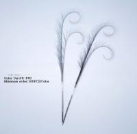 China Unique Pattern Dyed Burnt Curly Ringneck Pheasant Tail Feather for Event Party Supplies for sale