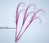 China Unique Pattern Dyed Burnt Curly Ringneck Pheasant Tail Feather for Event Party Supplies for sale