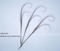 China Unique Pattern Dyed Burnt Curly Ringneck Pheasant Tail Feather for Event Party Supplies for sale