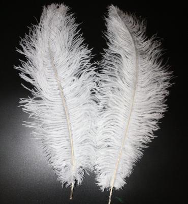 China Hat Decoration Millinery Feather Small Ostrich Plumes Feather for Events for sale