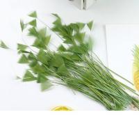China 8-10cm Dyed Stripped Goose Carnival Feathers For Customer Requirements for sale