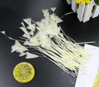 China 8-10cm Dyed Stripped Goose Carnival Feathers For Customer Requirements for sale