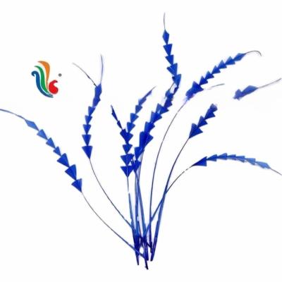 China Dyed Stripped Rooster Coque Feathers with Fast Shipping via DHL UPS FEDEX EMS TNT for sale