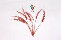 China Dyed Stripped Rooster Coque Feathers with Fast Shipping via DHL UPS FEDEX EMS TNT for sale