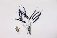 China Dyed Stripped Rooster Coque Feathers with Fast Shipping via DHL UPS FEDEX EMS TNT for sale