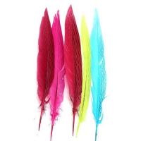 China Shipping Worldwide Silver Pheasant Feather for Carnival Costumes and Party Decoration for sale