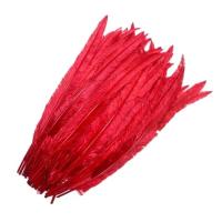 China Party Decoration Nandu Plumes Feather Dyed Pattern for Worldwide Shipping for sale