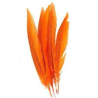 China Shipping Worldwide Silver Pheasant Feather for Carnival Costumes and Party Decoration for sale