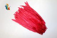 China Party Decoration Nandu Plumes Feather Dyed Pattern for Worldwide Shipping for sale