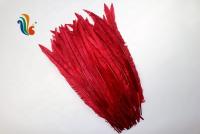 China Party Decoration Nandu Plumes Feather Dyed Pattern for Worldwide Shipping for sale