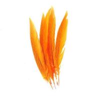 China Shipping Worldwide Silver Pheasant Feather for Carnival Costumes and Party Decoration for sale