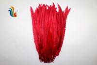 China Party Decoration Nandu Plumes Feather Dyed Pattern for Worldwide Shipping for sale