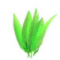 China Shipping Worldwide Silver Pheasant Feather for Carnival Costumes and Party Decoration for sale