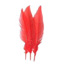 China Shipping Worldwide Silver Pheasant Feather for Carnival Costumes and Party Decoration for sale