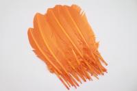 China Party Decoration Colored Turkey Feathers Event Supplies 10-12 inch for sale