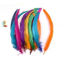 China 8-10 Inch Dyed Rooster Long Tail Feathers For DIY Hair Accessories And Costumes for sale