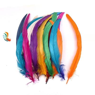 China 8-10 Inch Dyed Rooster Long Tail Feathers For DIY Hair Accessories And Costumes for sale