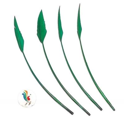 China Dyed Arrow Head Striped Turkey Feather Quill with Silk Screen Printing for sale