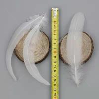 China 8-10 Inch Dyed Rooster Long Tail Feathers For DIY Hair Accessories And Costumes for sale
