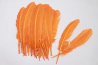 China Party Decoration Colored Turkey Feathers Event Supplies 10-12 inch for sale