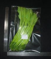 China Dyed Arrow Head Striped Turkey Feather Quill with Silk Screen Printing for sale
